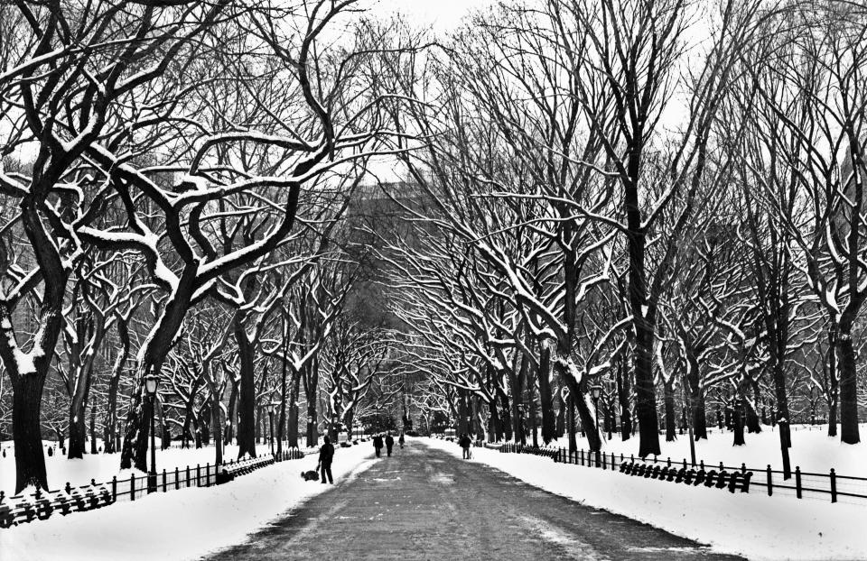 Poet's Walk Central Park | Shutterbug